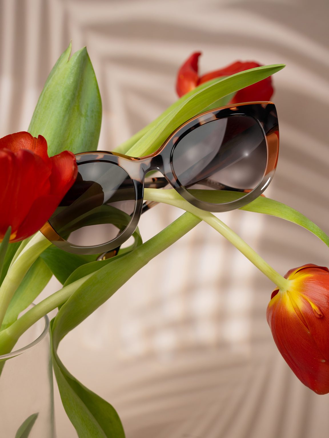 Yalea Eyewear
